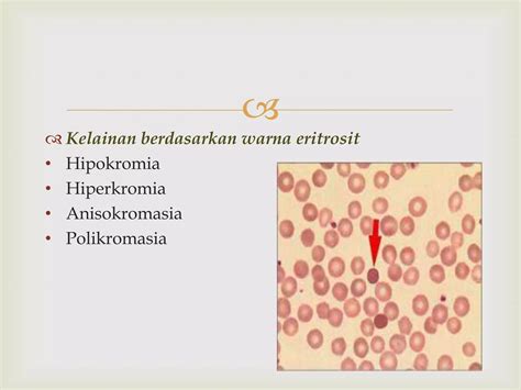 Eritrosit Sel Darah Merah Ppt