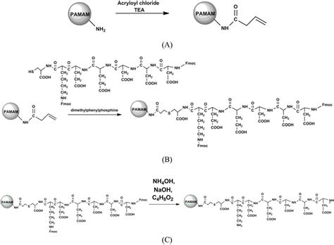 Polypeptide Modified Polyamidoamine Dendritic Polymer As Well As Preparation Method And