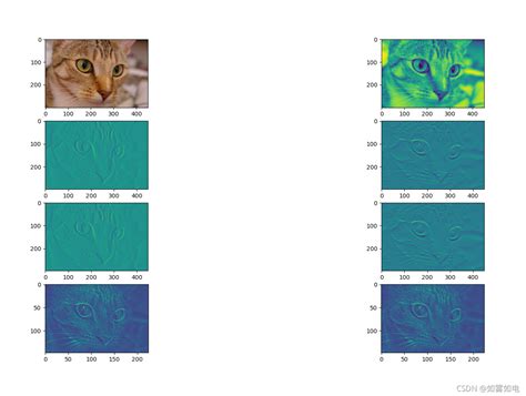 Numpy实现卷积神经网络基础教程 Csdn博客