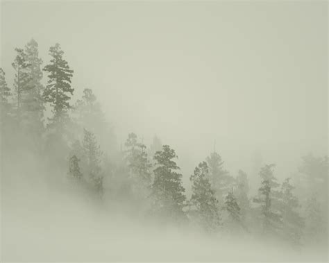 🔥 [63 ] Neutral Backgrounds Wallpapersafari