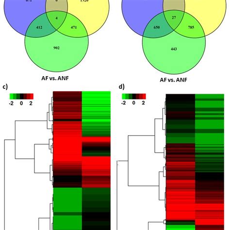 Classification Of Enriched Differentially Expressed Transcripts On The