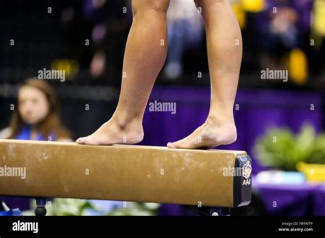 Ashleigh Gnat Feet
