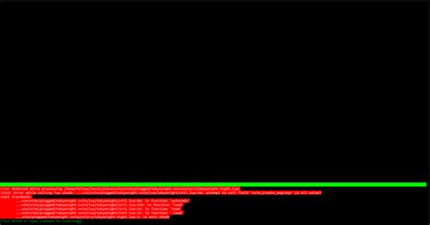 Cannot Activate New Theme Rneovim