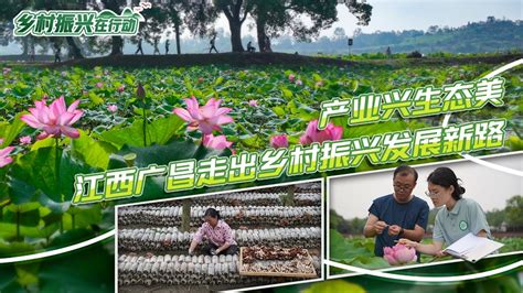 江西头条新华网江西频道