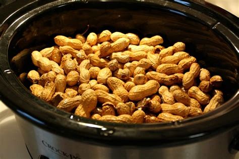 Slow Cooker Boiled Peanuts {southern Favorite} — Mommys Kitchen