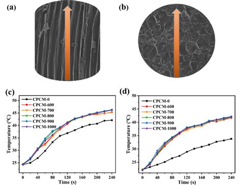 A Radial And B Lateral Thermal Transfer Schematic Diagrams Of Cpcms C