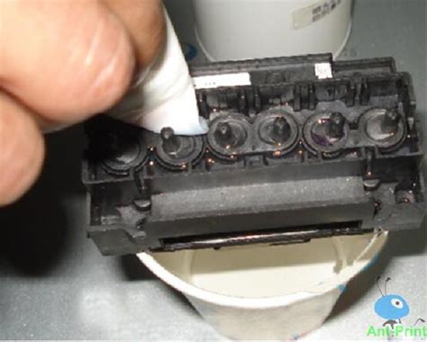 How To Clean Your Printer Head By Manual Professional Printing Equipment Manufacturer