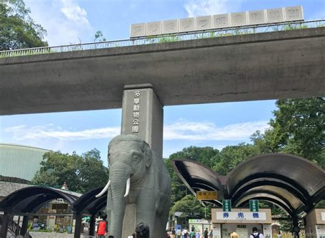 多摩動物公園の入園料が無料になる日っていつ混雑状況は入園料金年間パスポート無料開放日をまとめました