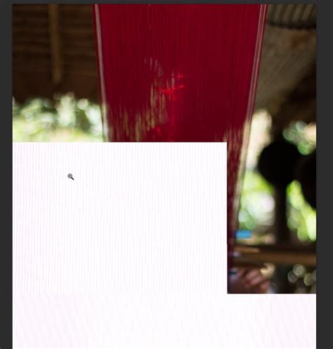 Troubleshooting Lightroom Is Not Showing Photo Correctly