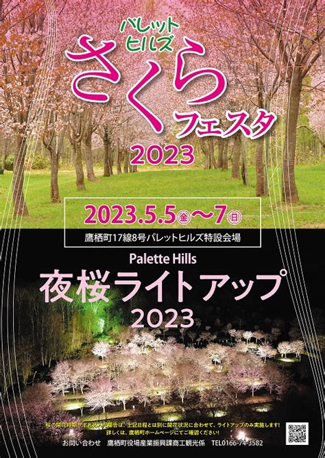 2023さくらフェスタ夜桜ライトアップパレットヒルズ たびたかす 鷹栖町総合観光ガイド