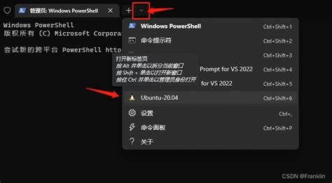 【wsl】 01 Windows Subsytem Linux 安装、尤其（ubuntu 以及gui的详细安装方法 升级apt到apt