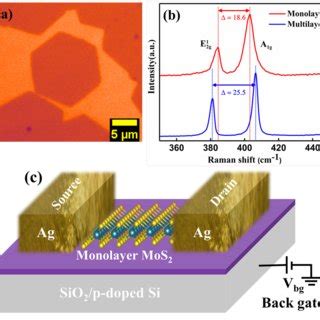 A Optical Microscopic Image Of NaCl Aided CVD Grown Monolayer MoS2 In