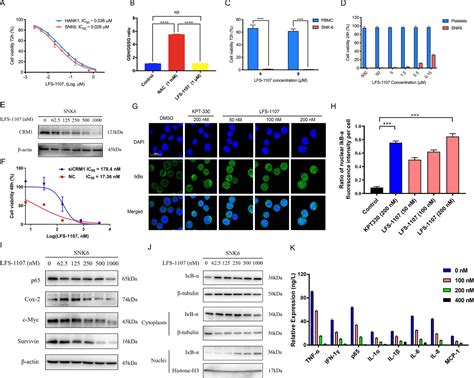 Figures And Data In Discovery And Biological Evaluation Of A Potent Small Molecule Crm1