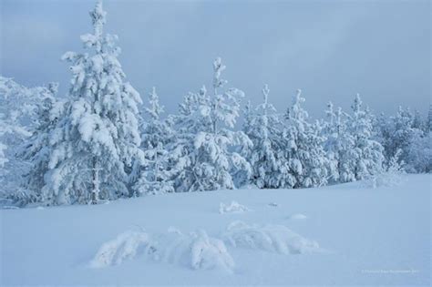 ФОТО Байгал нуурын ӨВӨЛ