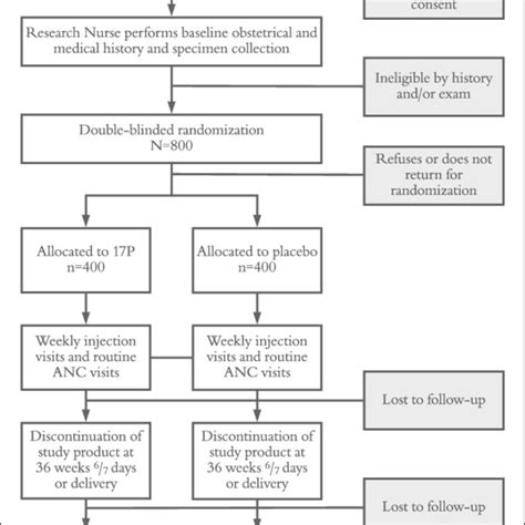 IPOP Study Trial Schema Download Scientific Diagram