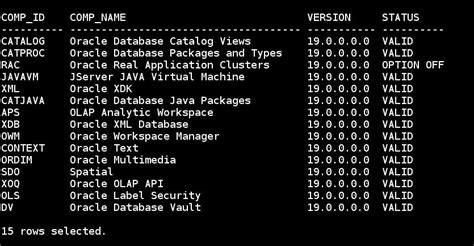 apply patching 32904851 oracle 19c database release update 19 12 0 0 0