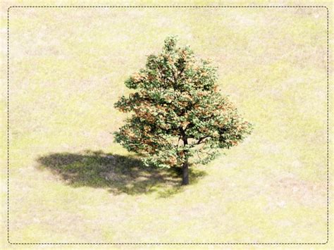 Tree Revit 01 High Quality RevitImport