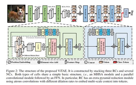 Vit中的inductive Bias 知乎
