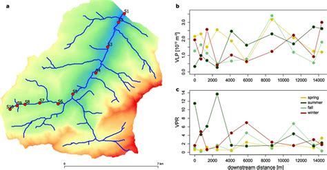 No Evidence For A Downstream Accumulation Of Vlps Viral Like Particles