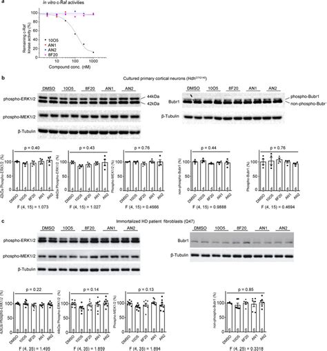 potential influence on c raf and ksp pathways following treatment with