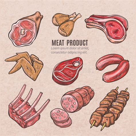Meat Products Color Sketches Stock Vector Illustration Of Chops Pork