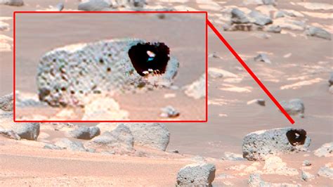 Encuentran En Marte Una Animal Con Garra Fosilizado En El Sol 158 Del