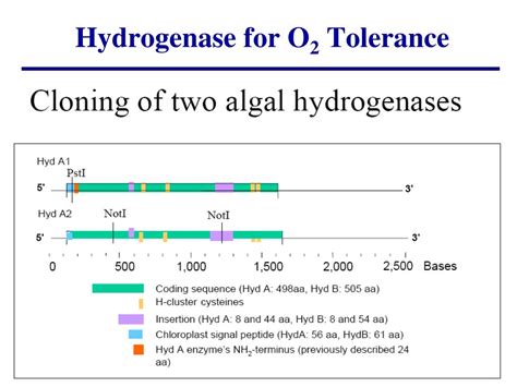 PPT Lecture 15 Hydrogen Production PowerPoint Presentation Free