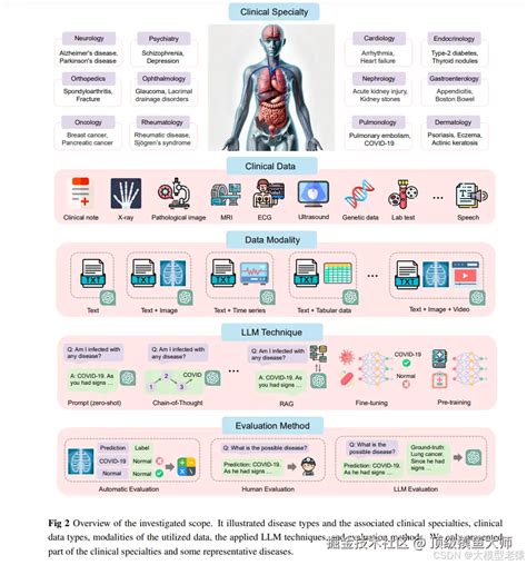 【医疗大模型】大型语言模型疾病诊断综述med Llm Csdn博客