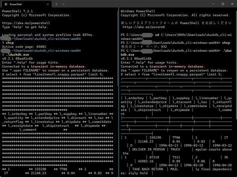 Cli Corrupted Text On Powershell On Windows Issue Duckdb