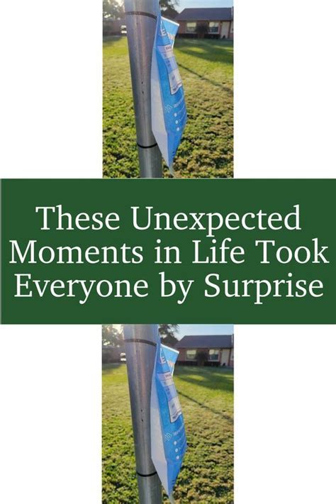 These Unexpected Moments In Life Took Everyone By Surprise Artofit