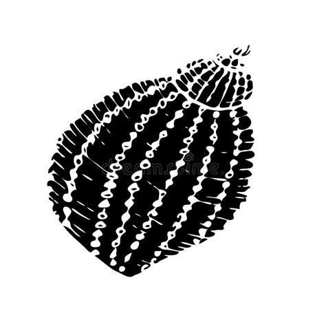 Vector Seashell Black Silhouette Illustration Hand Drawn Maritime