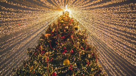 árvores De Natal No Brasil Archives Dicas De Viagem E Turismo