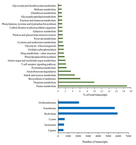 Towards Sex Identification Of Asian Palmyra Palm Borassus Flabellifer L By Dna Fingerprinting