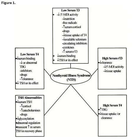 Euthyroid Sick Syndrome Low T3 And “normal Thyroid Labs” Explained