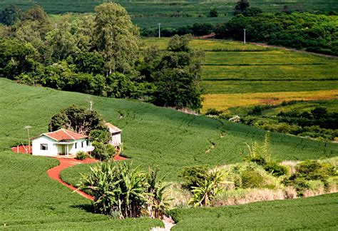 Módulo Rural O Que é E Para Que Serve Adenilson Giovanini