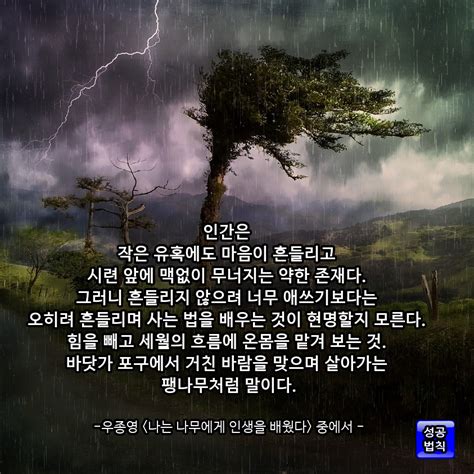 성공의 법칙 바람을 정면으로 맞서면 가지가 부러지고 뿌리가 뽑혀나갑니다 때론 조금 휠 줄도 알아야