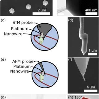A Sem Image Of An Array Of Gan Nanowires As Grown B Tem Image Of
