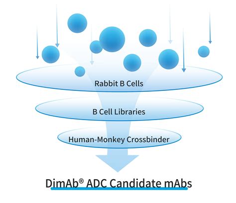 Adc Reagents