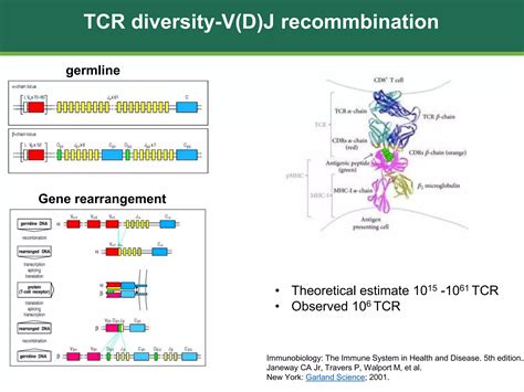 Predictive Features Of Tcr Repertoire Pptx