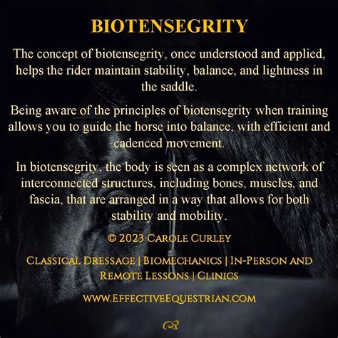 What Is Biotensegrity