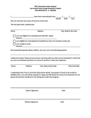 Self Employment Declaration Letter PDF Complete With Ease AirSlate