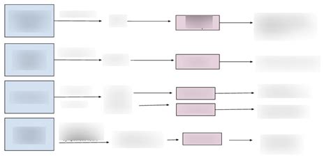 Endocrine Organs And Hormones Diagram Quizlet