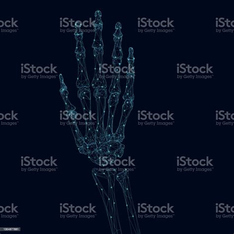어두운 배경에 빛나는 조명과 파란색 선으로 만든 인간의 손의 골격의 와이어 프레임 3d 벡터 일러스트레이션 와이어 프레임 모델에