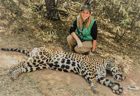 APN La Pampa El proyecto de reinserción de especies nativas en las