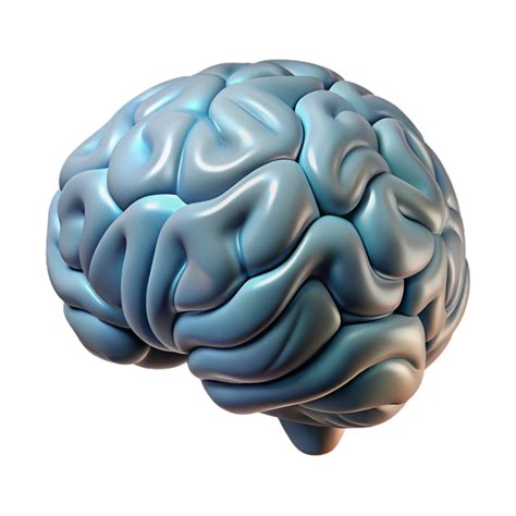 Dramatic Minimalist Brain Scan Side View Cutout Premium 57895501 Png