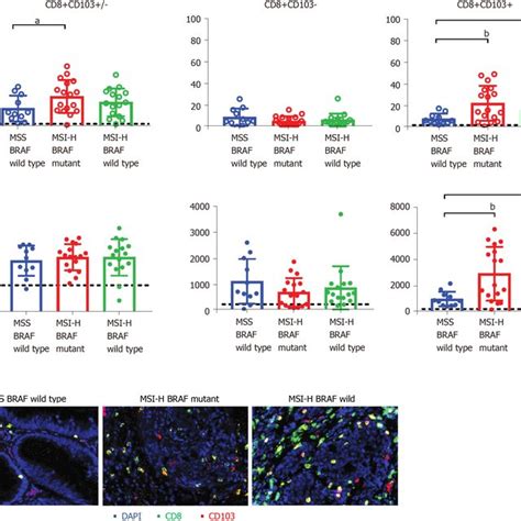 Tissue Resident Memory T Cells Are Significantly Increased In