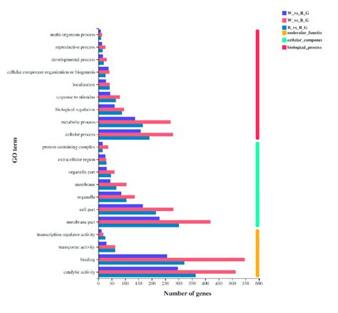Go Annotations Analysis Of Degs Download Scientific Diagram