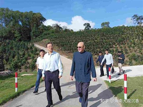 中国热带农业科学院党组书记崔鹏伟一行赴海南大观沉香琼中基地调研 知乎