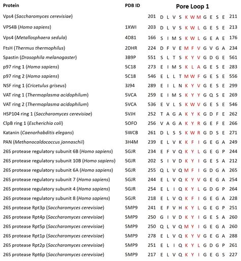 Figures And Data In The Aaa Atpase Vps4 Binds Escrt Iii Substrates