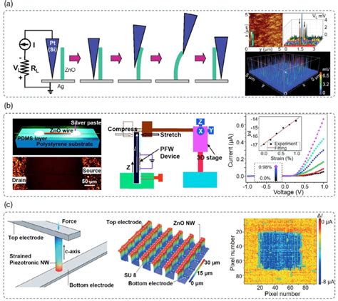 Piezotronics In 1d Wurtzite Nanowires A Piezoelectric Nanogenerators Download Scientific